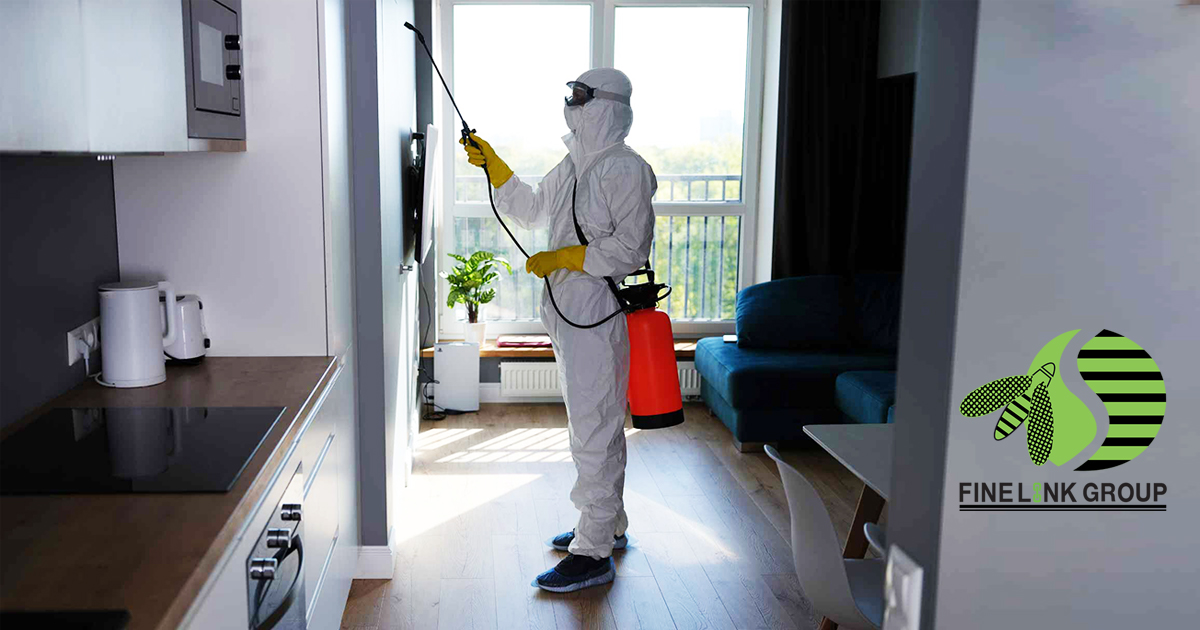 Bed bug control | 0509032456 | Bed Bug Removal